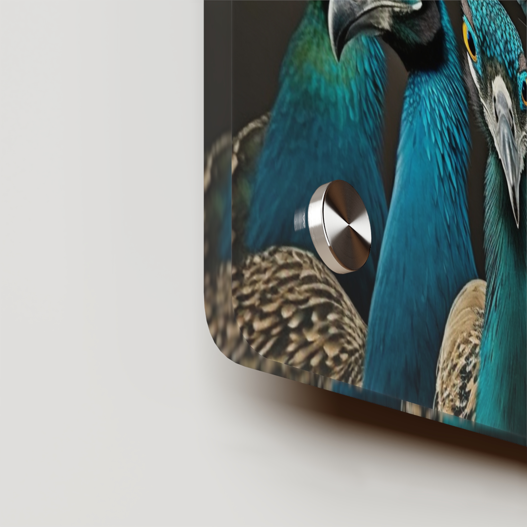 Eyes of the Peacock Stoic Acrylic Wall Art Panels - The Eyes of a Peacock